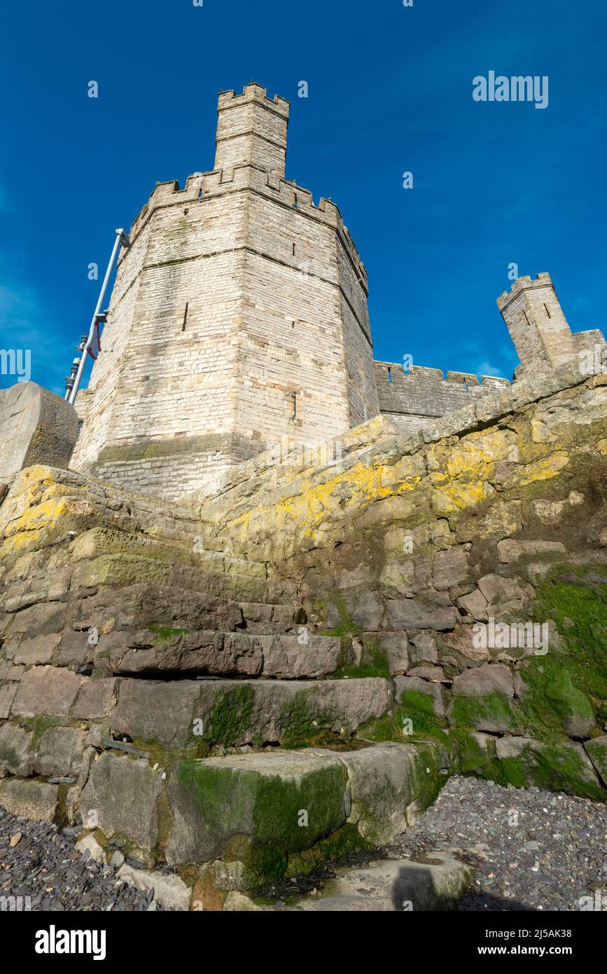Looking up at one of the greatest buildings of the Middle Ages,high ...