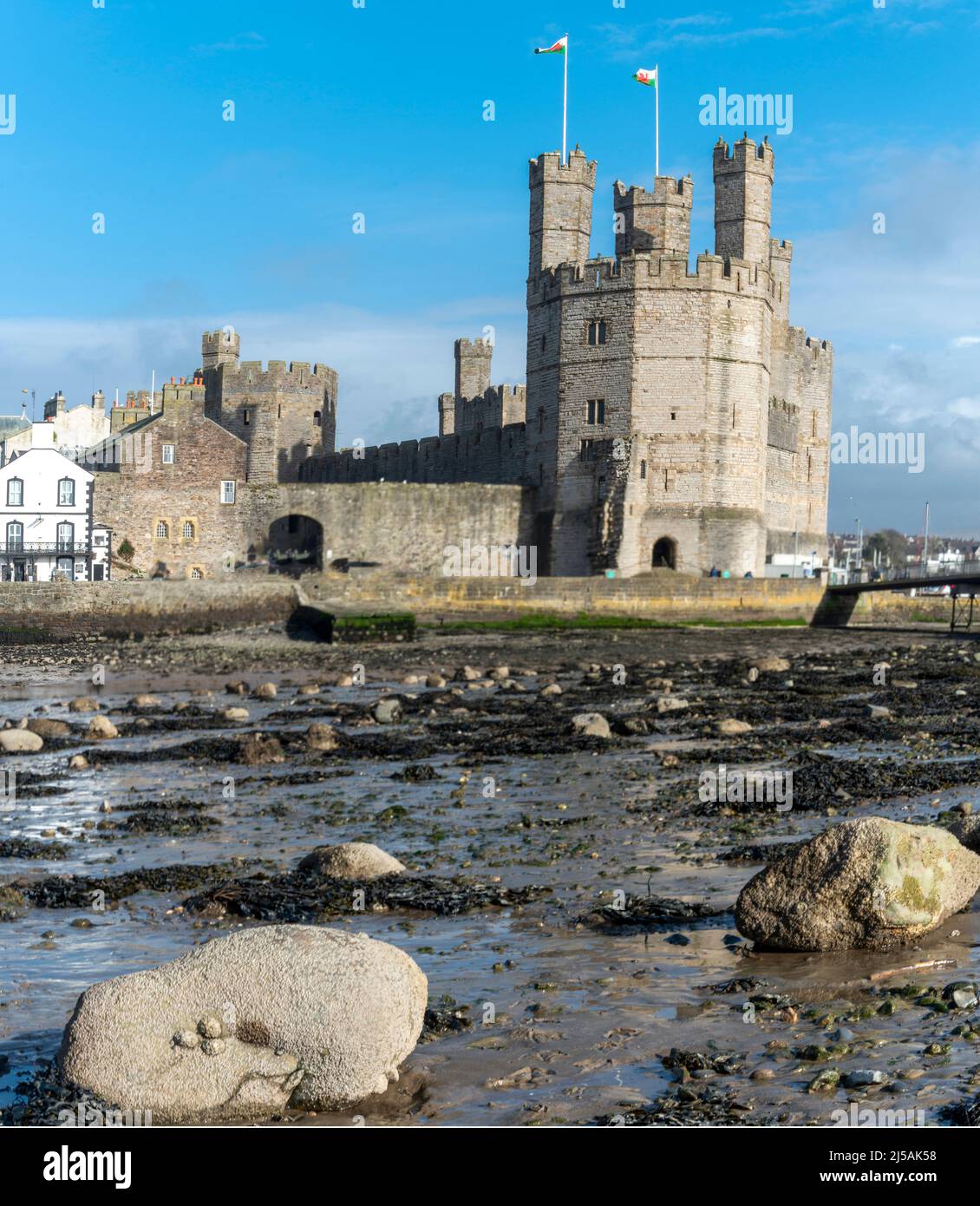 Clumps of mud hi-res stock photography and images - Alamy