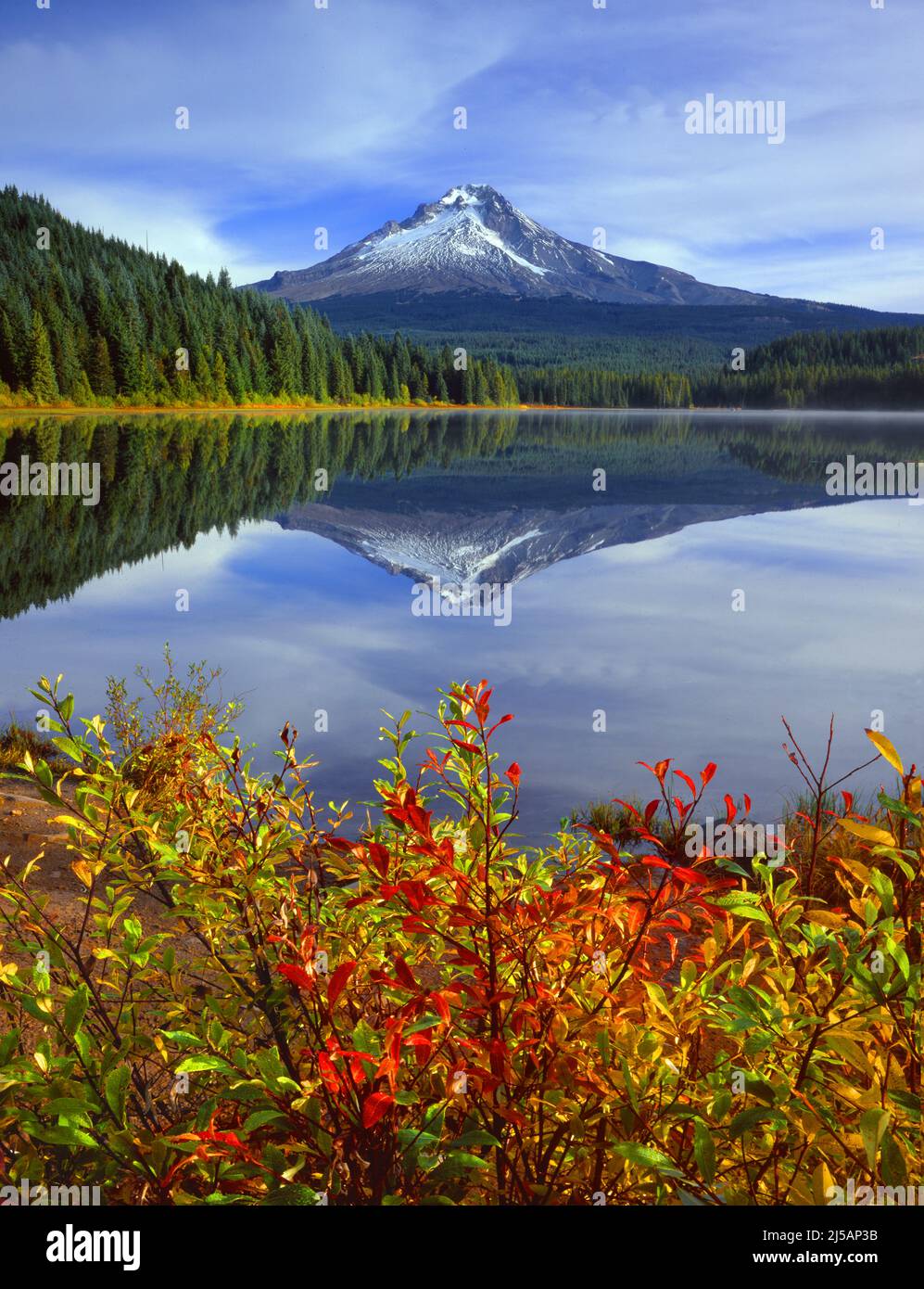 Mt. Hood from Trillium Lake, Cascade Range, Oregon Stock Photo - Alamy