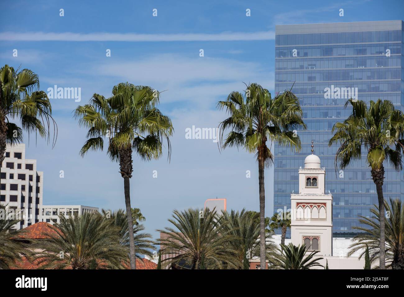Daytime palm framed view of the Orange County downtown skyline of ...