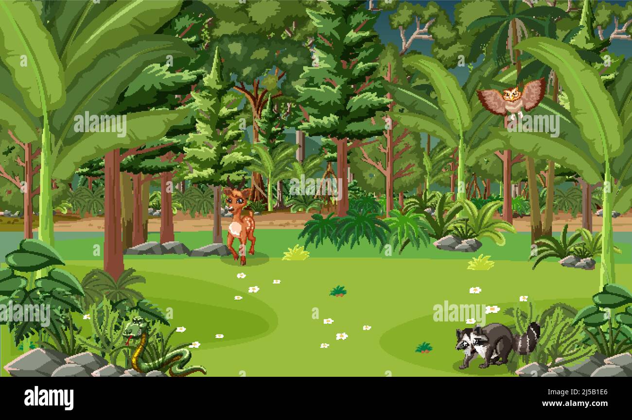 Forest scene with wild animals illustration Stock Vector Image & Art ...