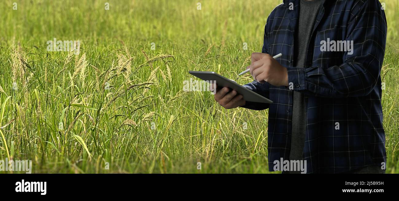 Agriculturist Young farmers man using tablet computer analysis data ...