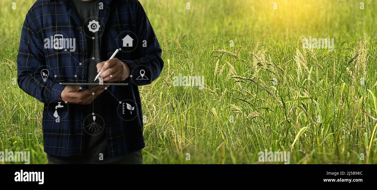 Agriculturist Young farmers man using tablet computer analysis data ...