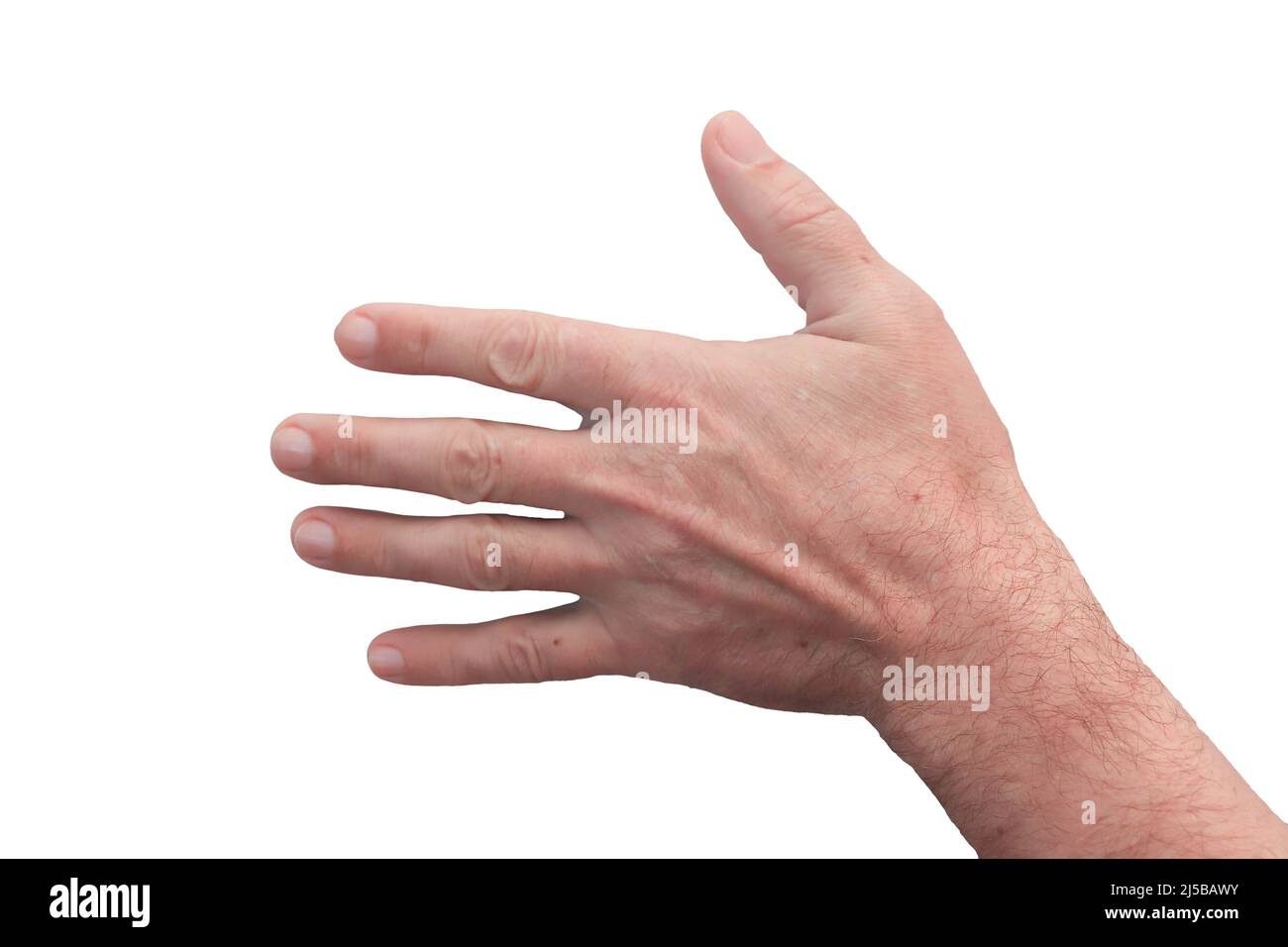 Palm of left hand hi-res stock photography and images - Alamy
