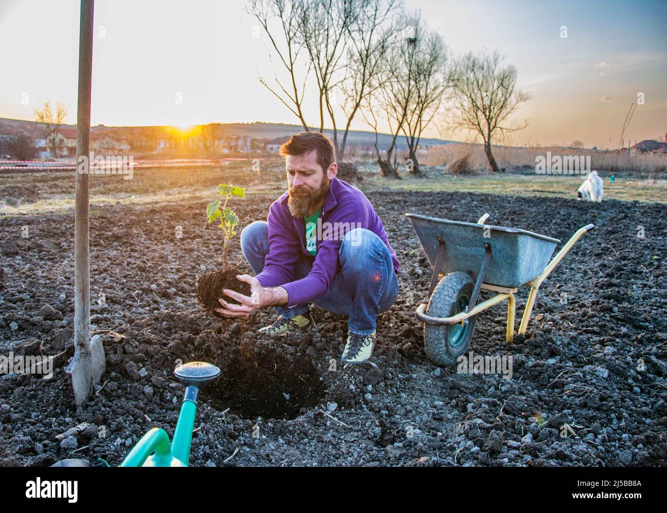 Man planting a tree earth day. Planting a tree in springtime new life ...