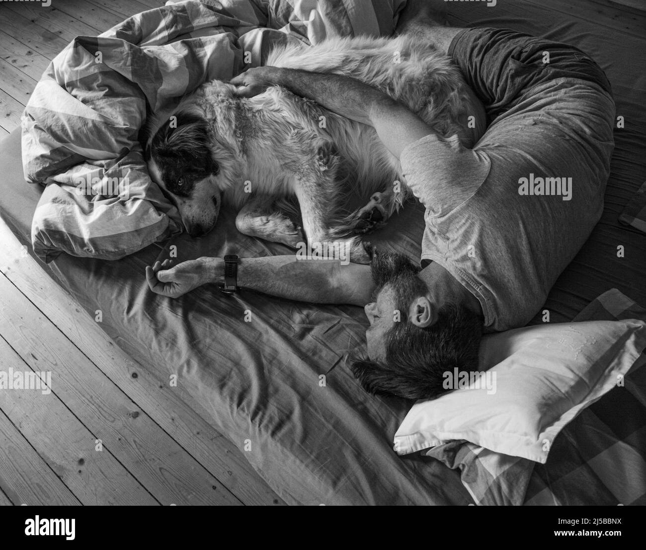 Lazy home Black and White Stock Photos & Images - Alamy