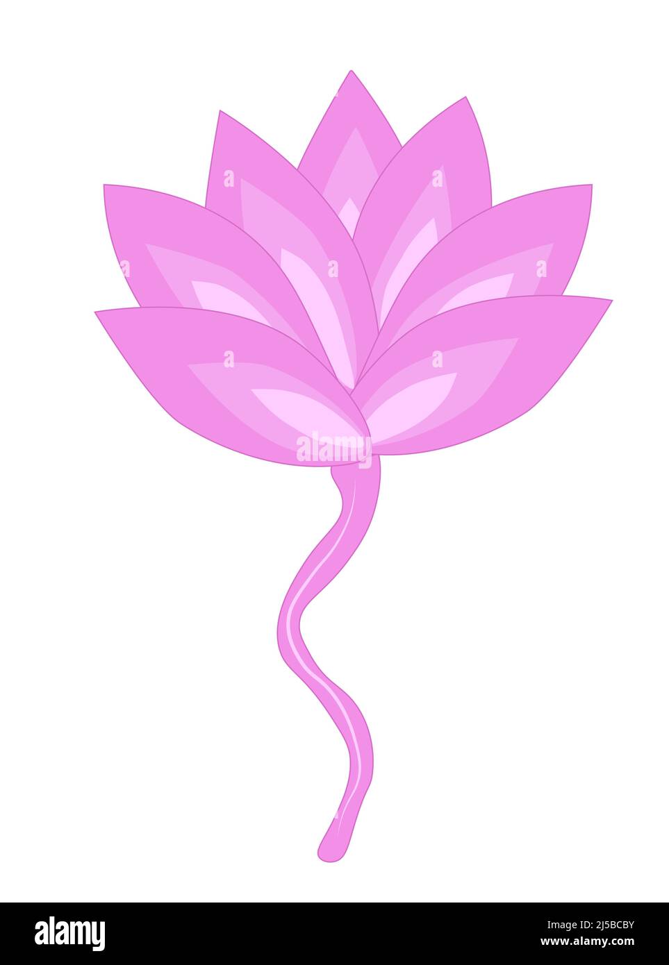 Delicate Pink Lotus Flower The Symbol Of Purity The World Of Yoga Spa And Relaxation Vector