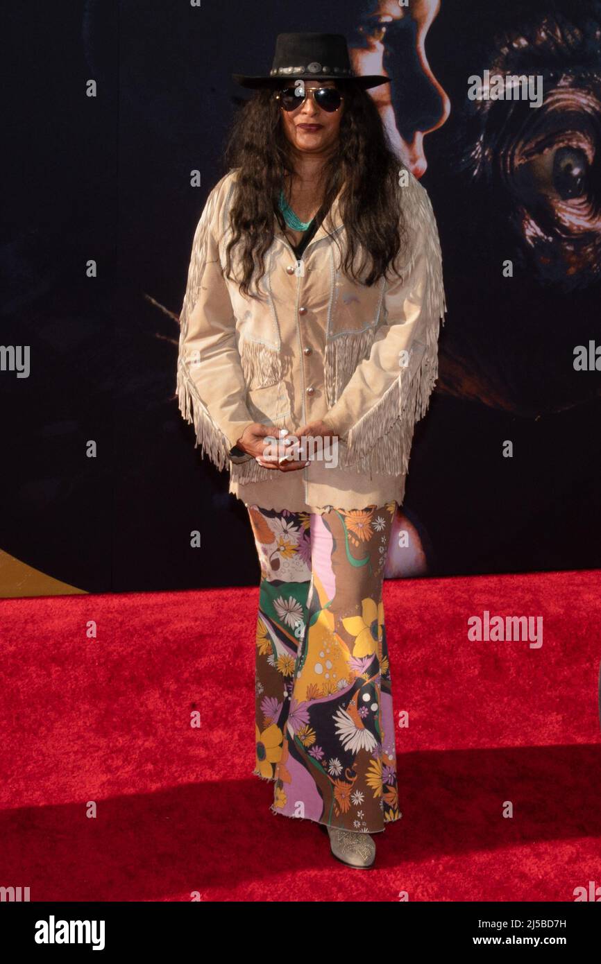 Los Angeles, California, USA. 21st Apr, 2022. Pam Grier. 2022 TCM ...