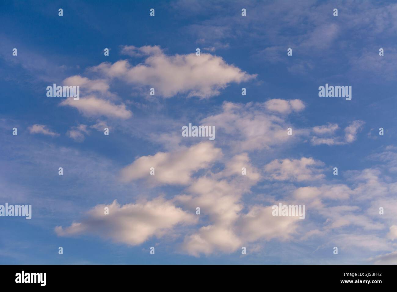 Spring scenics hi-res stock photography and images - Alamy