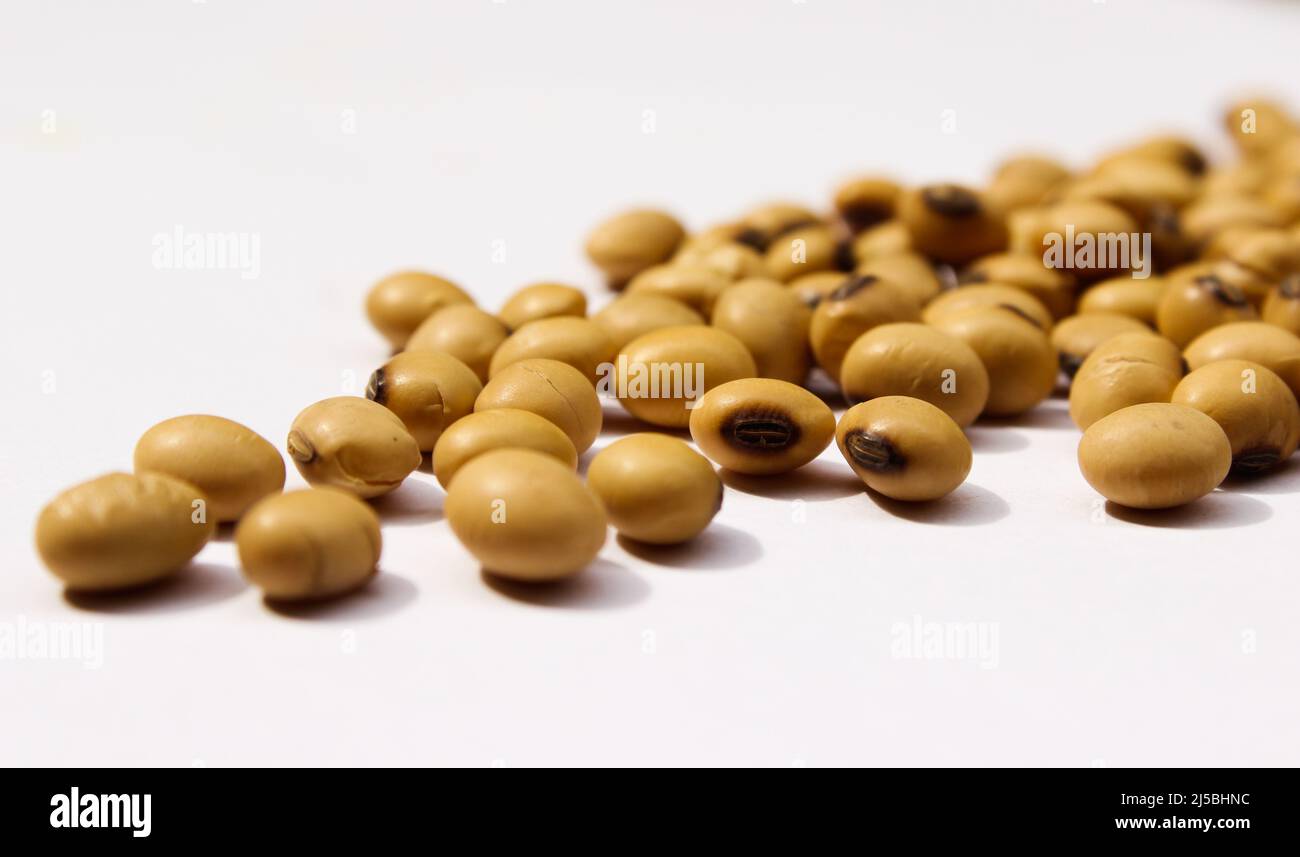 Soybean isolated on the white background Stock Photo - Alamy