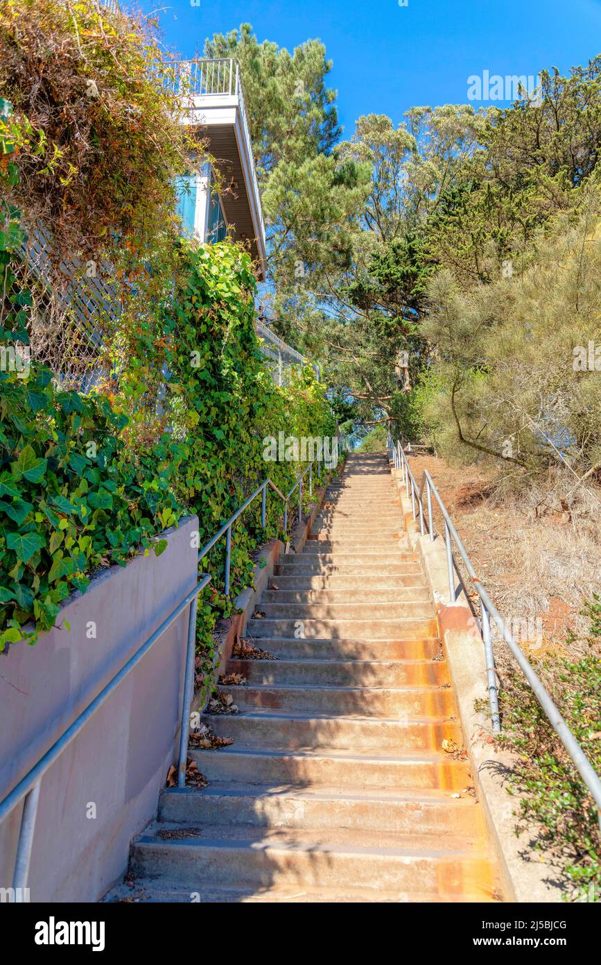 Staircase beside the residential building with vines on the fence at ...