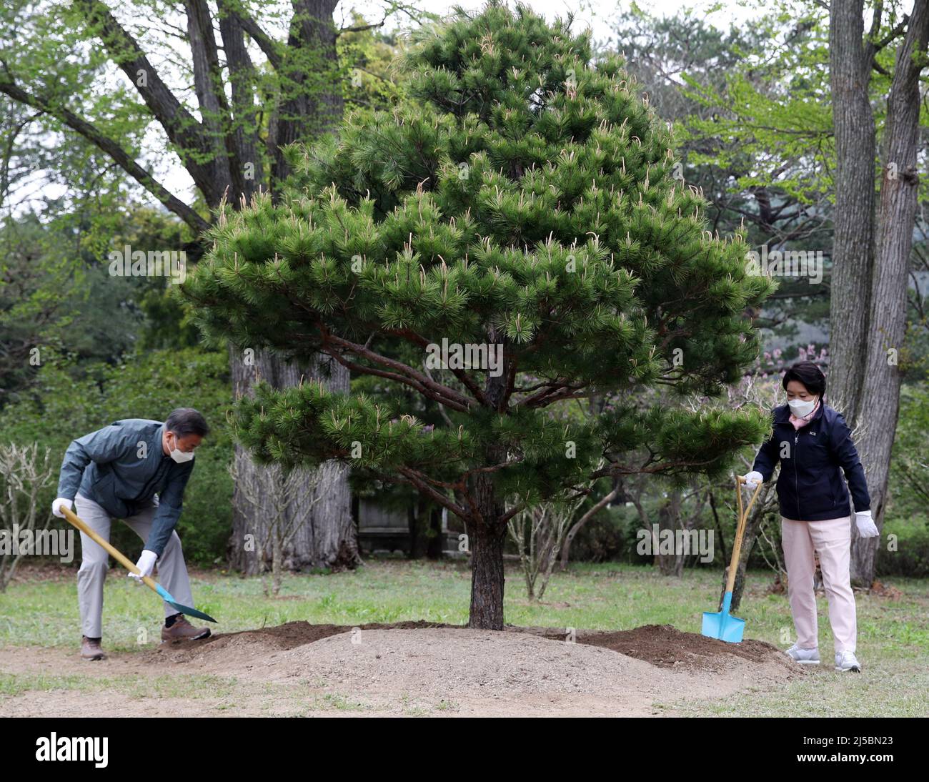 South Korea. 22nd Apr, 2022. 22nd Apr, 2022. Moon plants commemorative ...