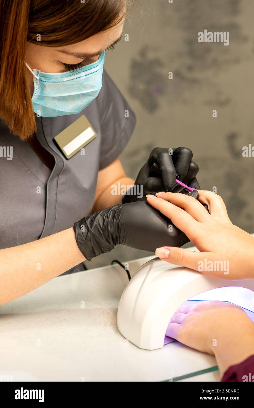 Professional manicure. A manicurist is painting the female nails of a ...