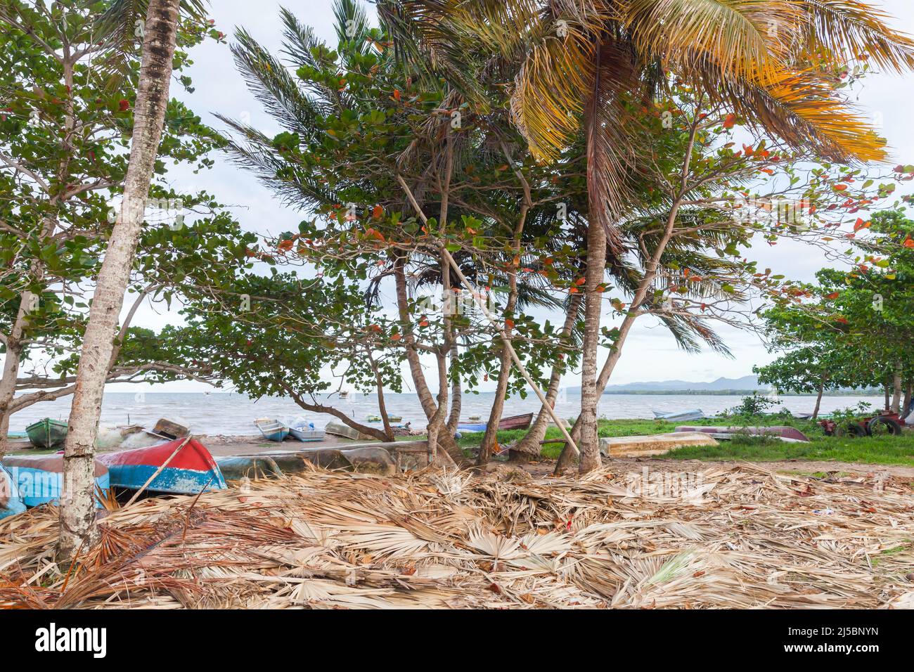 Coastal view of Samana Bay, Dominican Republic Stock Photo - Alamy