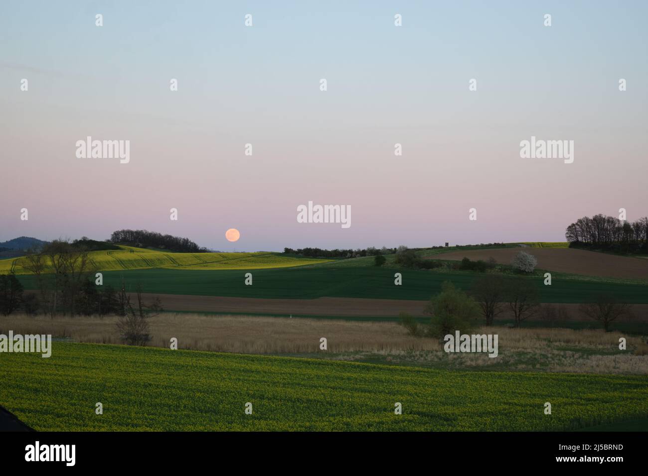 full moon rising during blue hour Stock Photo - Alamy