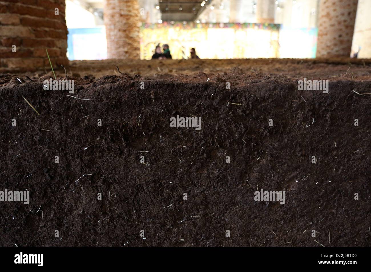 Italy, Venice, April 19, 2022 : Visitors view "Inner Earth" by ...