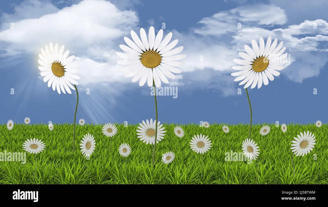 3d illustration. Spring, Summer. Flowers, blossom on green meadow with ...