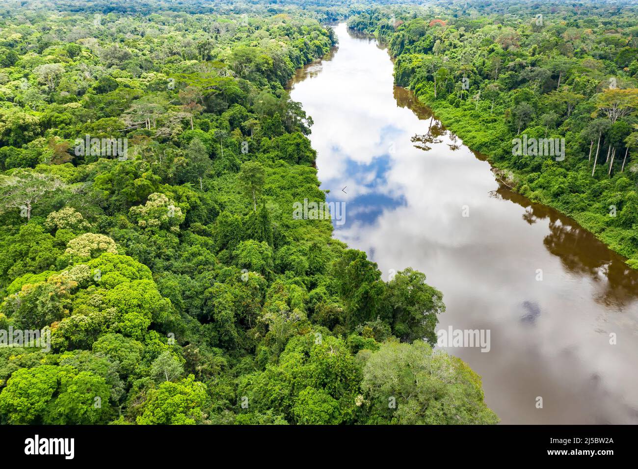 Cameroon national park hi-res stock photography and images - Alamy
