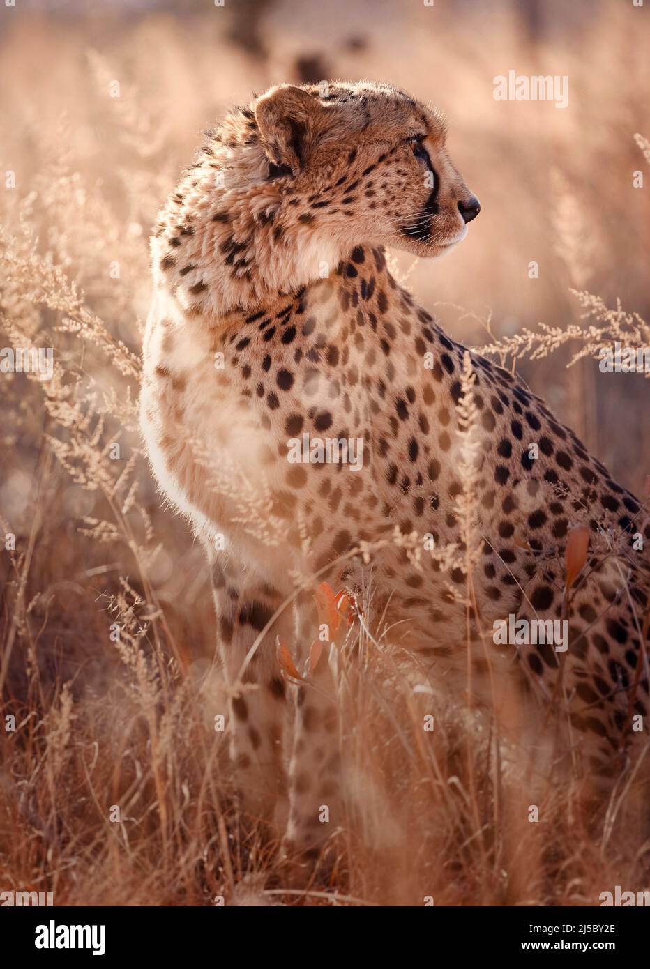 The images were British director and photographer Simon Needham (55 ...