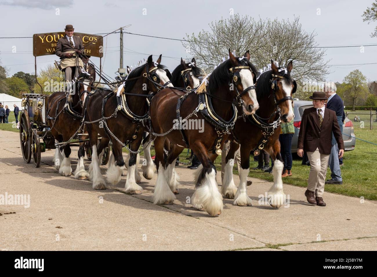 London cart horse parade hi-res stock photography and images - Alamy
