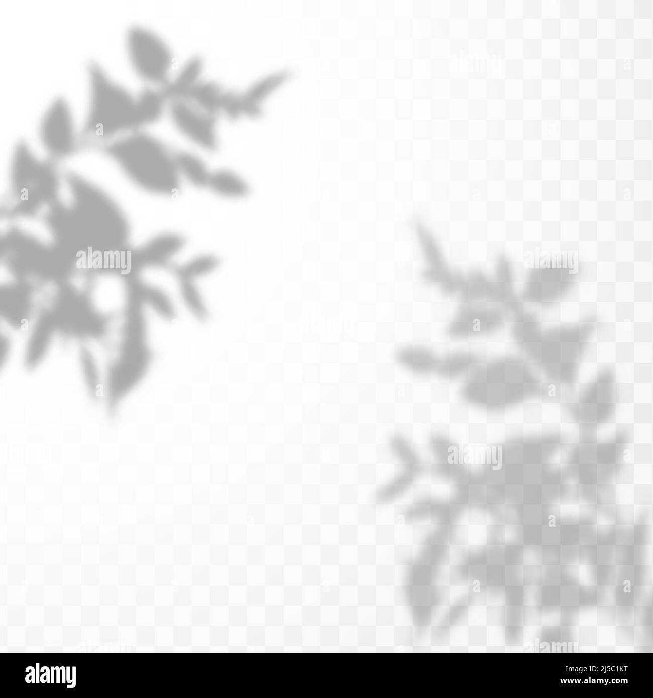 Scenes of natural lighting.Soft shadow form window and plants, light ...