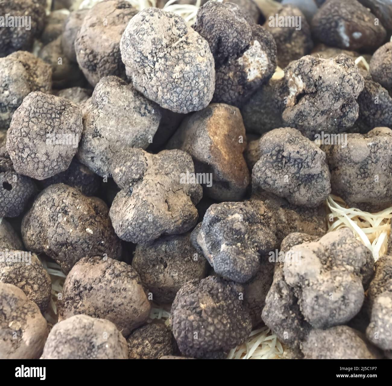 Group of delicious raw whole truffle Stock Photo - Alamy