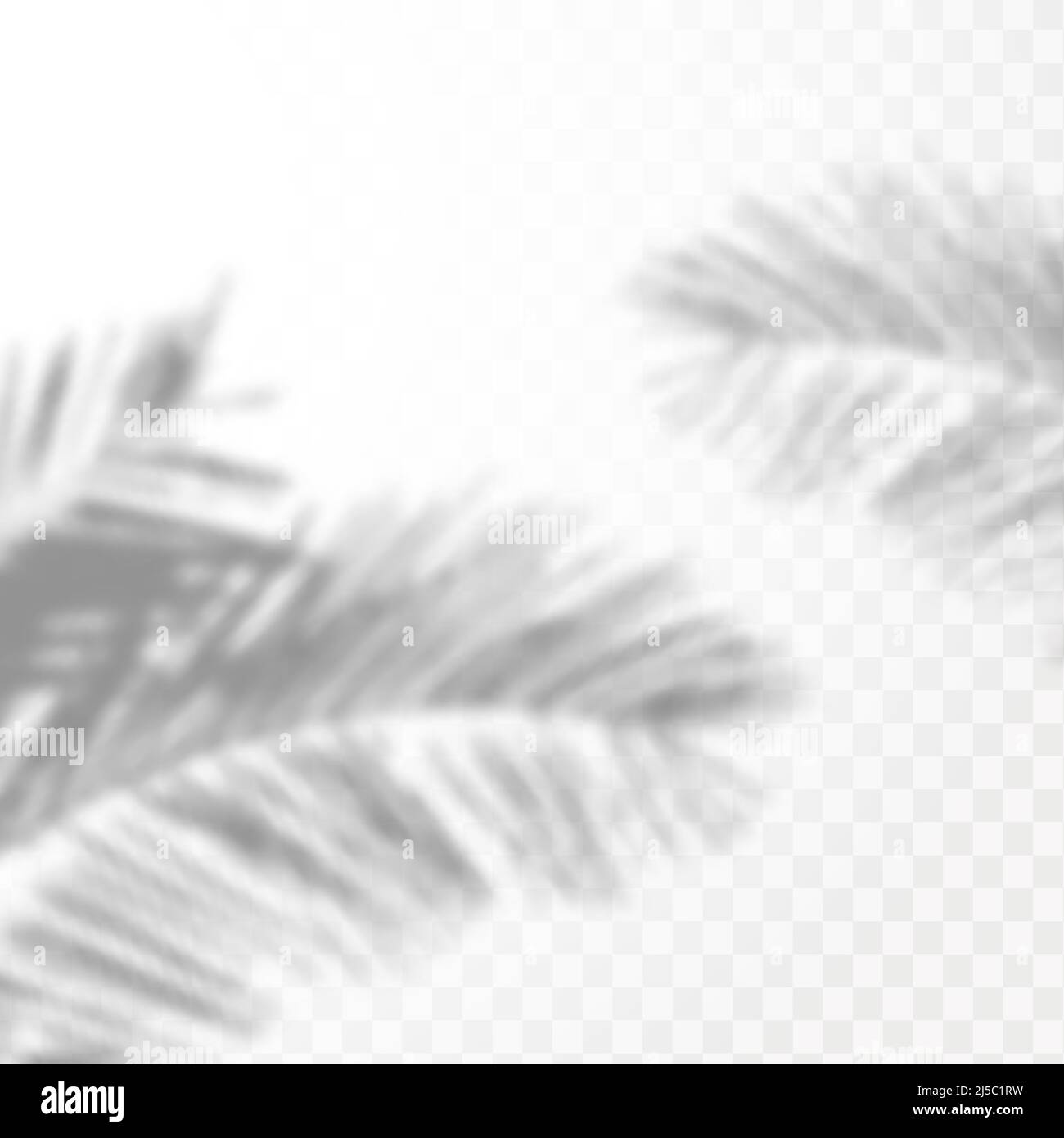 Scenes of natural lighting.Soft shadow form window and plants, light ...