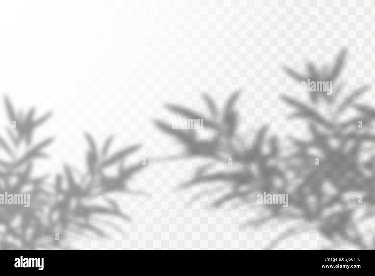 Scenes of natural lighting.Soft shadow form window and plants, light ...