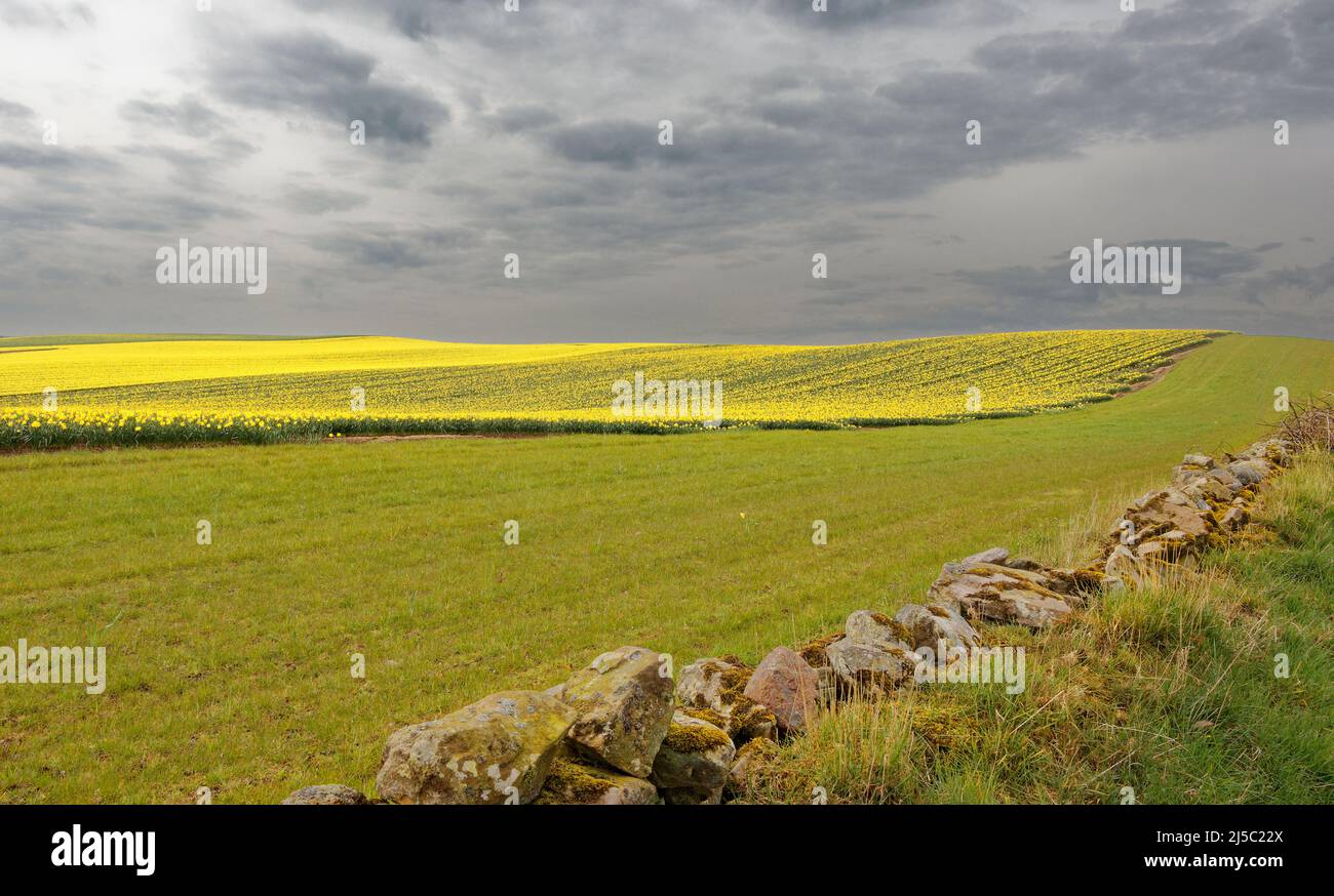 Panorama farm fields stone hi-res stock photography and images - Alamy