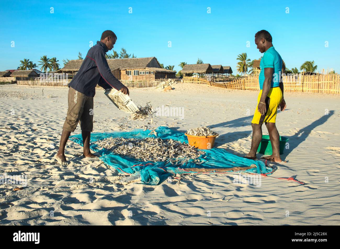 Malagasy Fishermen collecting dried fish on the beach, Morondava ...
