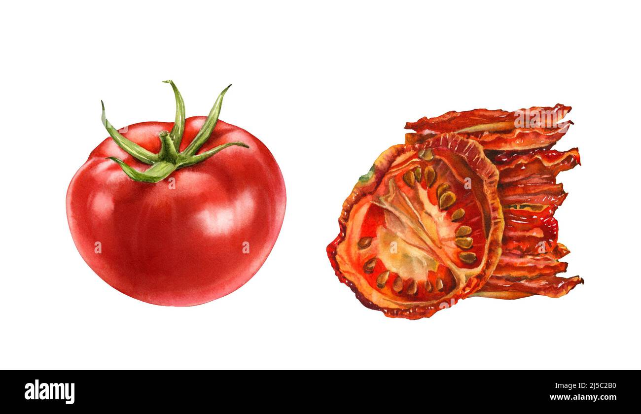 Painted tomato Cut Out Stock Images & Pictures - Alamy