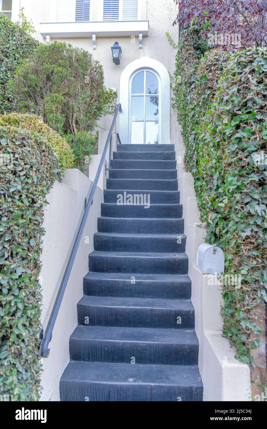 Staircase in the middle of the walls with vines geading to an arched ...