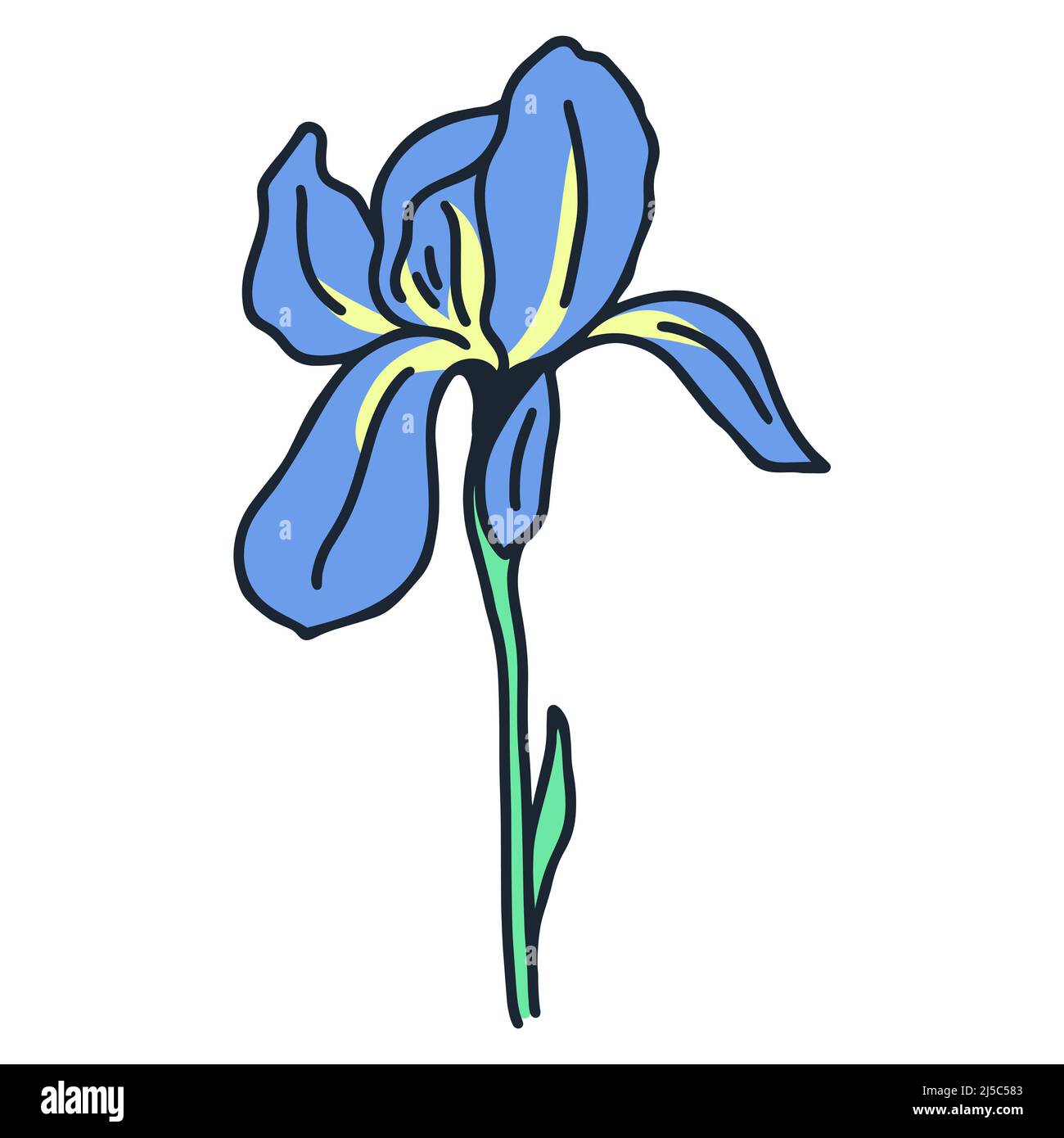 Iris single beautiful rustic flower vector illustration Stock Vector ...