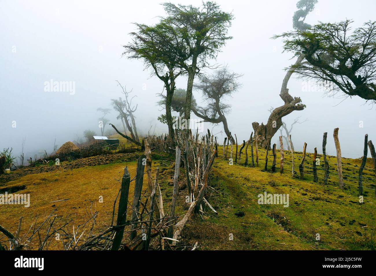 Mount mtelo hi-res stock photography and images - Alamy