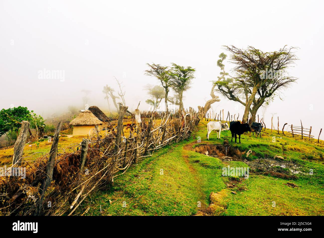 Mount mtelo hi-res stock photography and images - Alamy