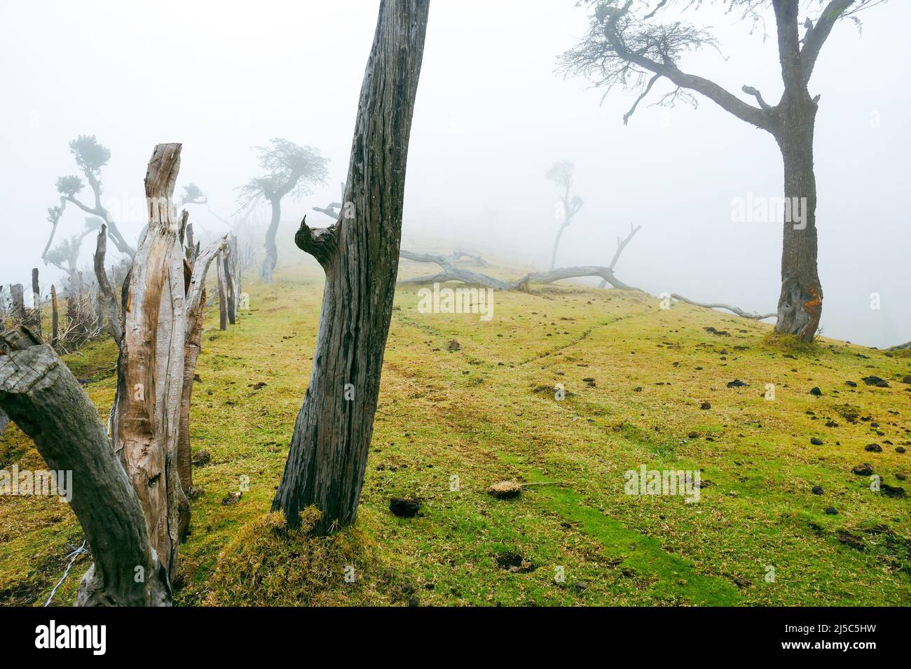 Mount mtelo hi-res stock photography and images - Alamy