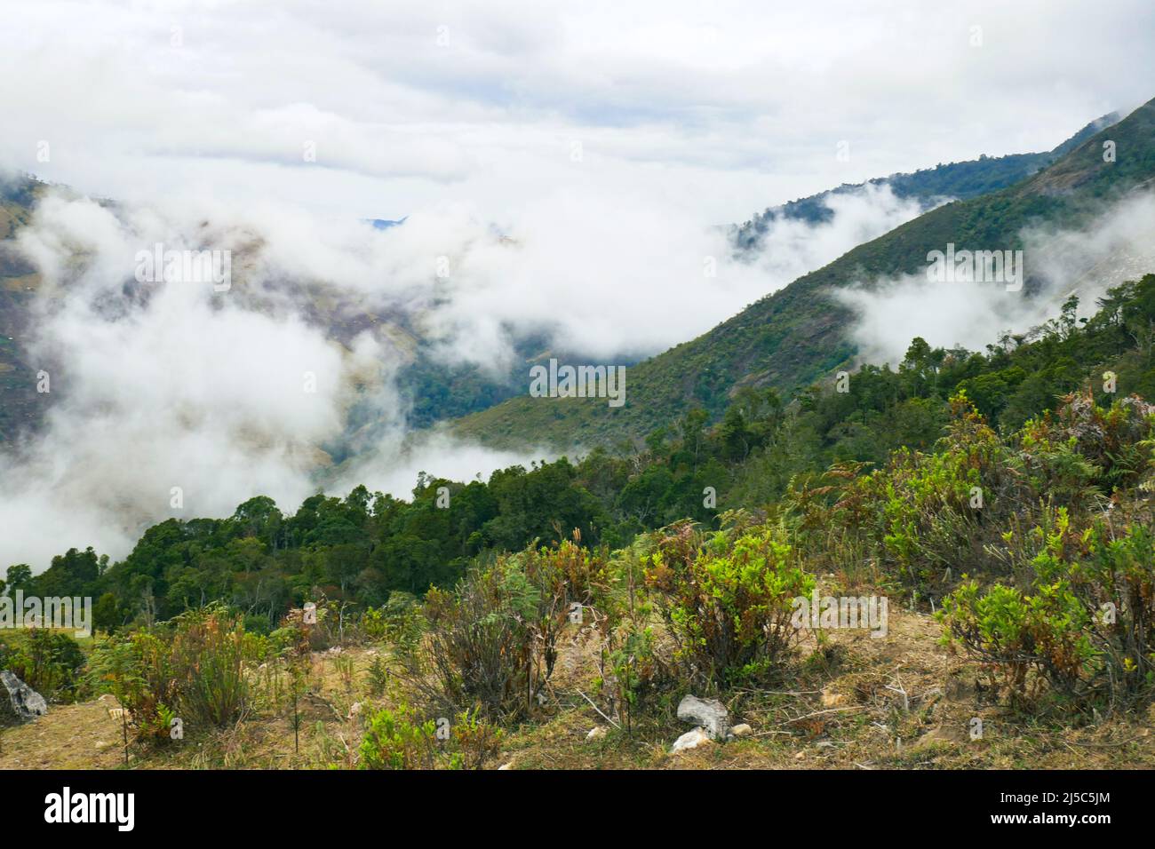 Foggy Mountain landscapes at Mount Mtelo, West Pokot, Kenya Stock Photo ...