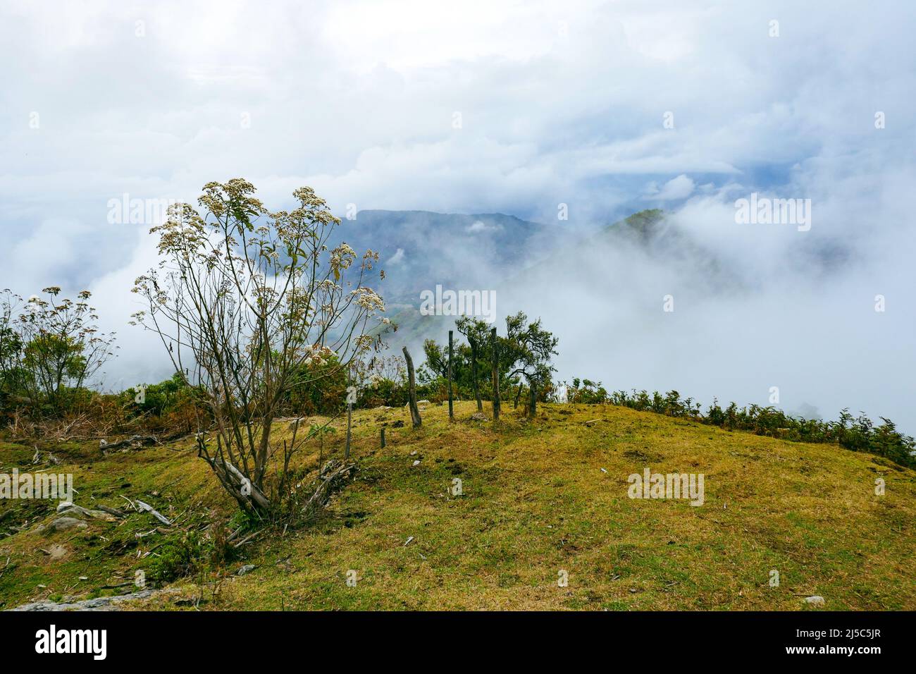 Foggy vale hi-res stock photography and images - Alamy
