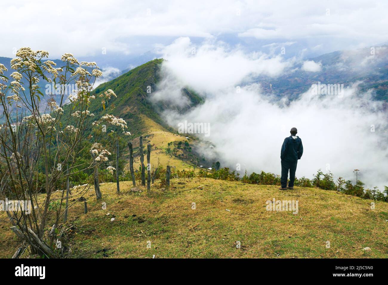 Safari one person rear view hi-res stock photography and images - Alamy