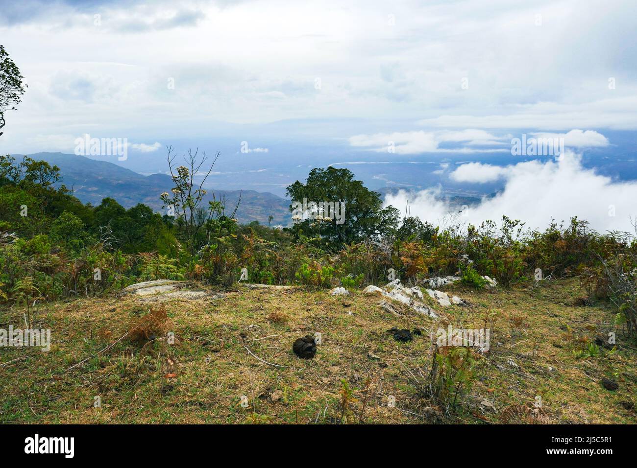 Foggy Mountain landscapes at Mount Mtelo, West Pokot, Kenya Stock Photo ...