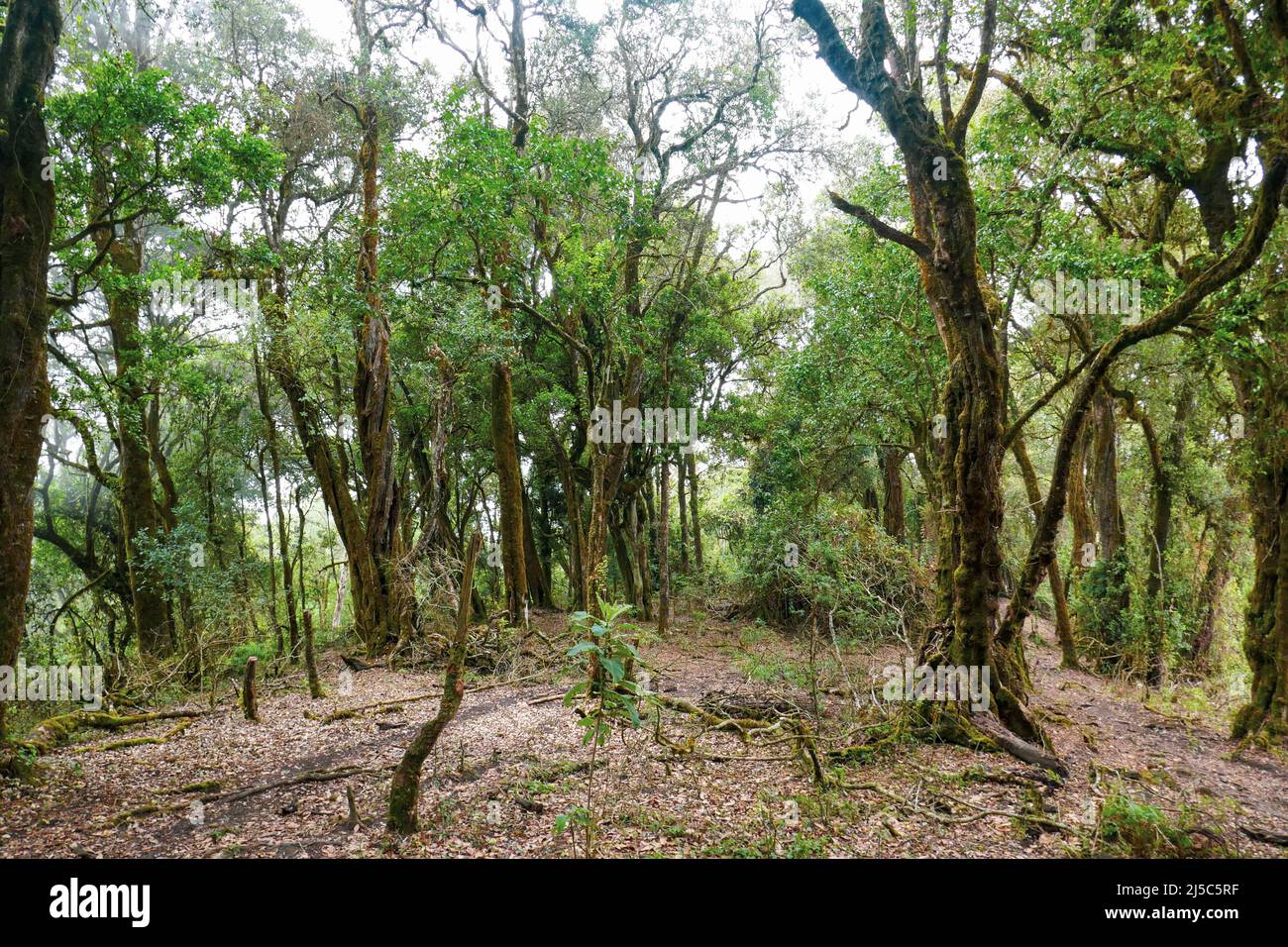 Mount mtelo hi-res stock photography and images - Alamy