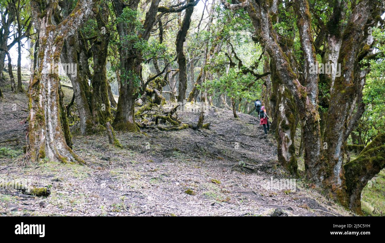 Mount mtelo hi-res stock photography and images - Alamy