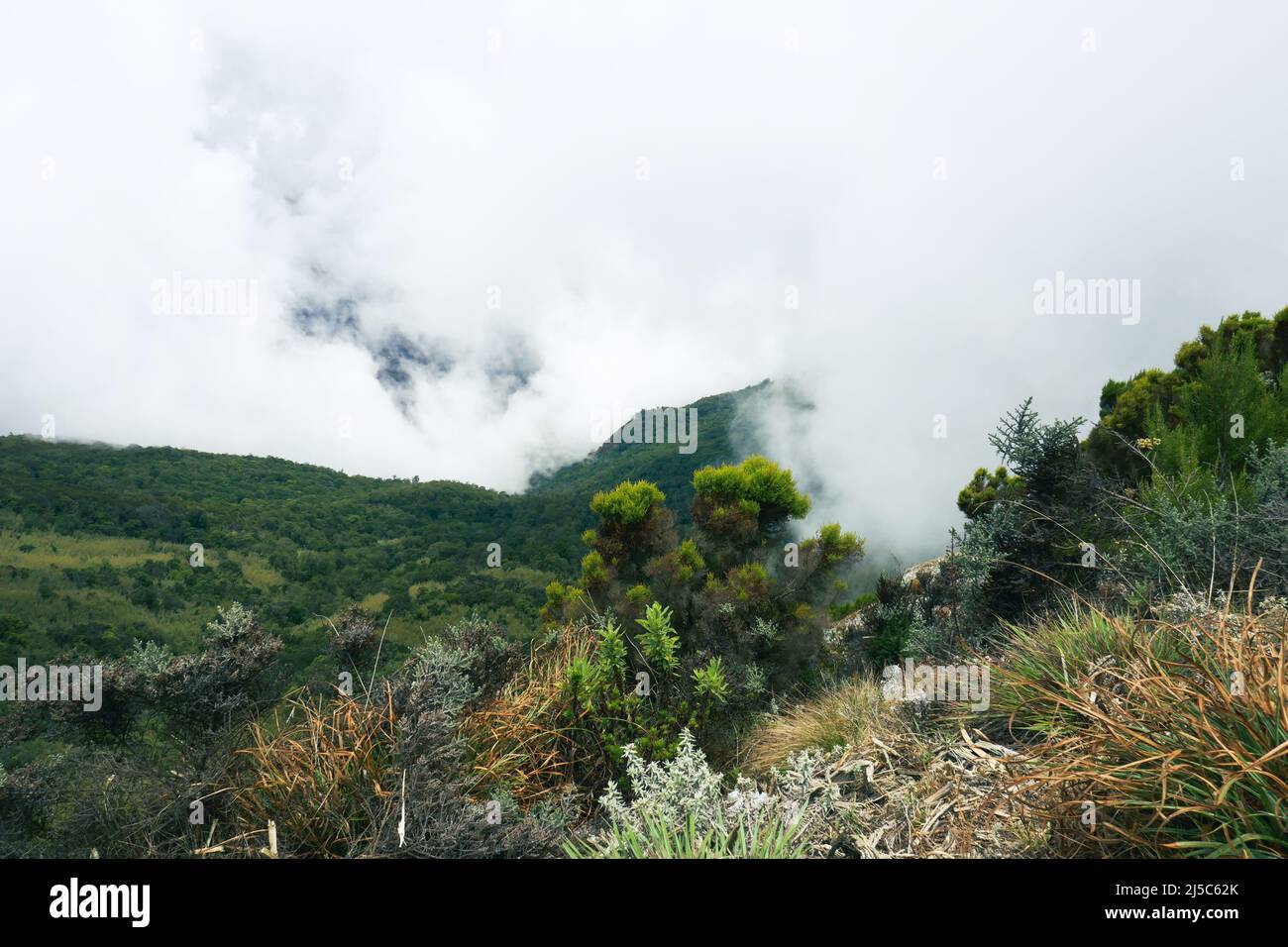 Foggy Mountain landscapes at Mount Mtelo, West Pokot, Kenya Stock Photo ...