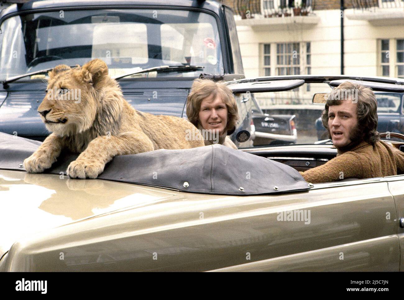 Owners Ace Bourke & John Rendall with Christian in their Mercedes car ...