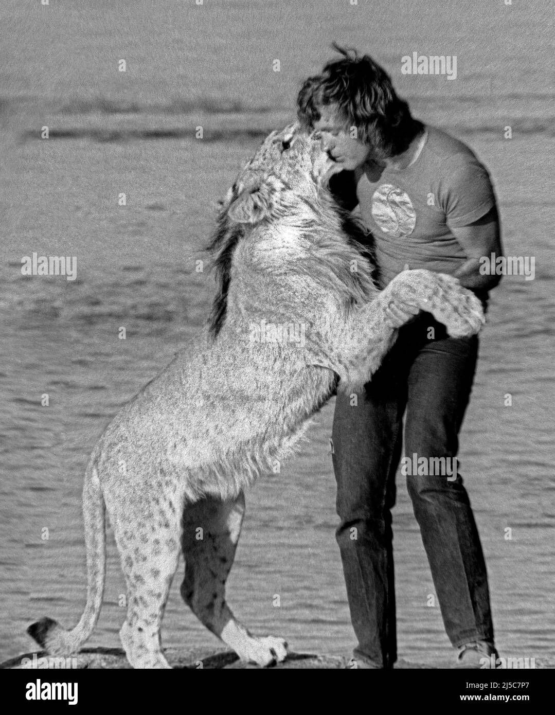 Christian the lion cub hi-res stock photography and images - Alamy