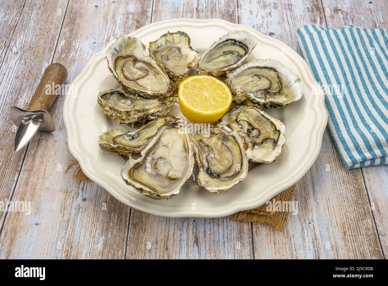 Oysters open in shells hi-res stock photography and images - Alamy