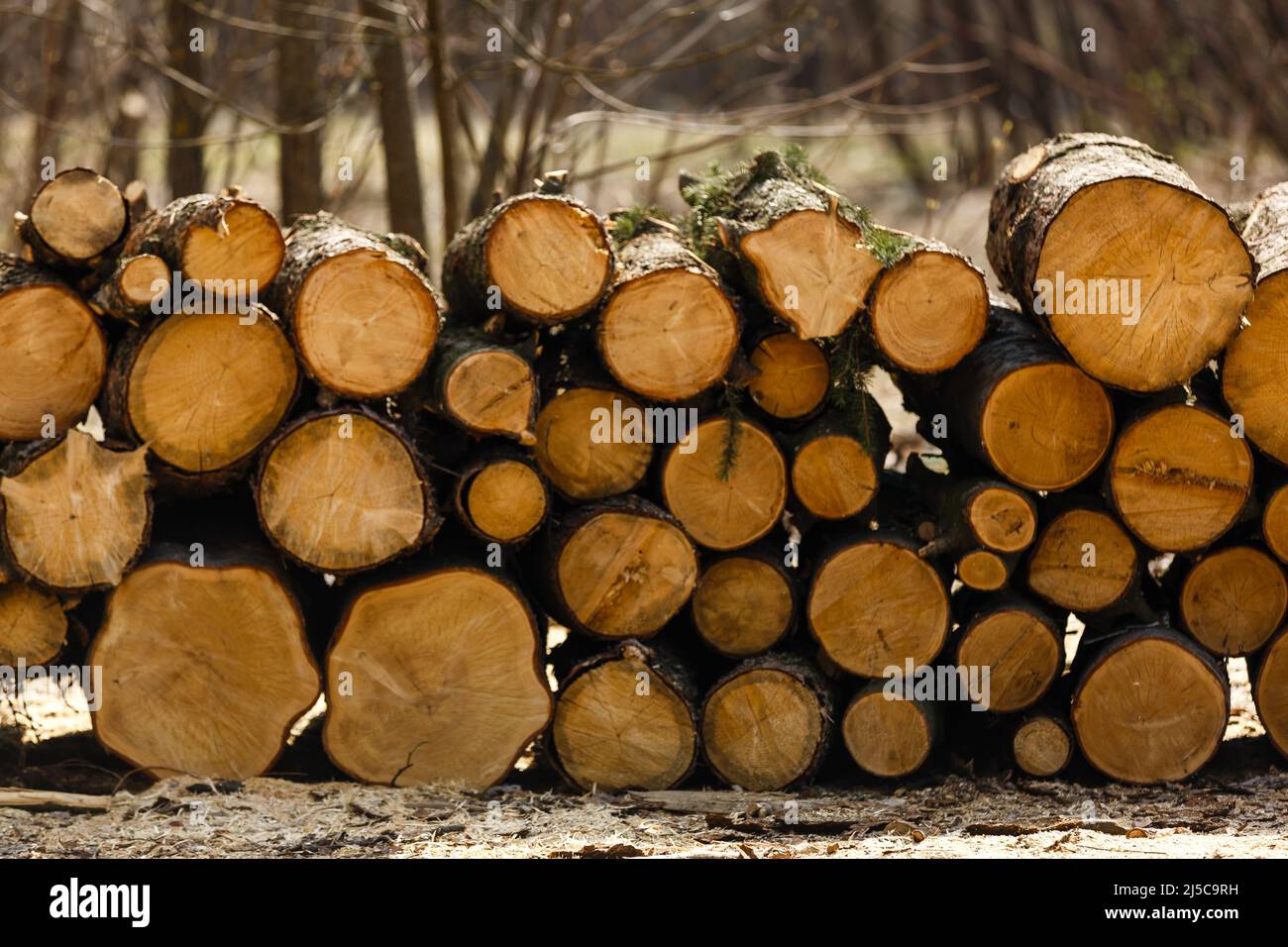 Wood on the snow. Warehouse logs against the bright sky. Lumber of ...
