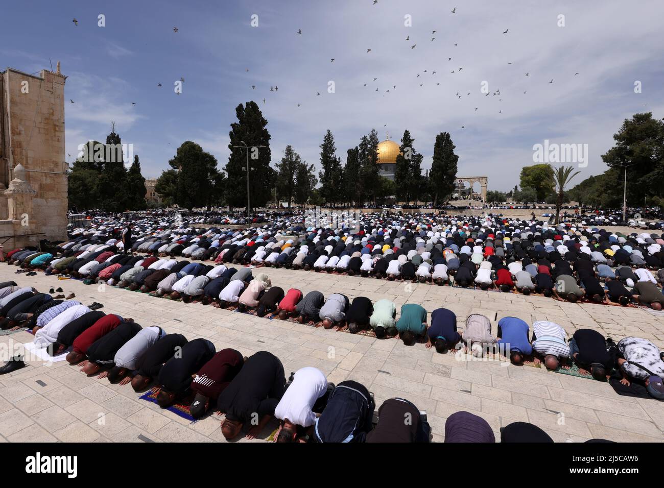 Compound of houses middle east hi-res stock photography and images - Alamy