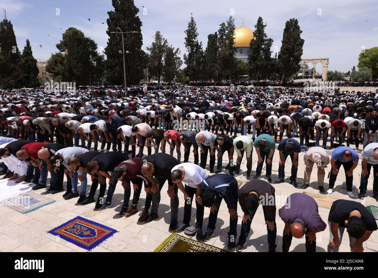 Compound of houses middle east hi-res stock photography and images - Alamy