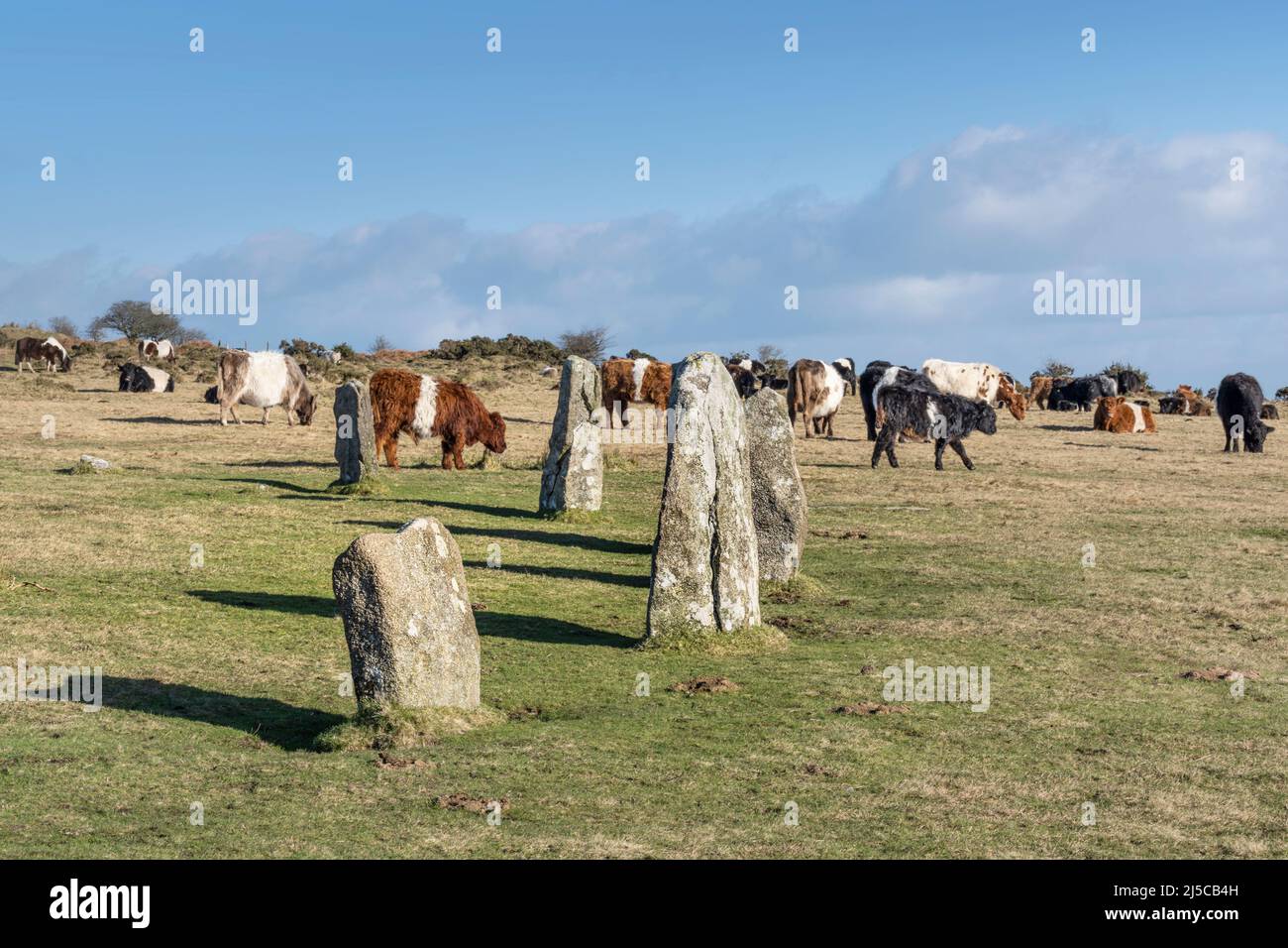 Late neolithic hi-res stock photography and images - Alamy